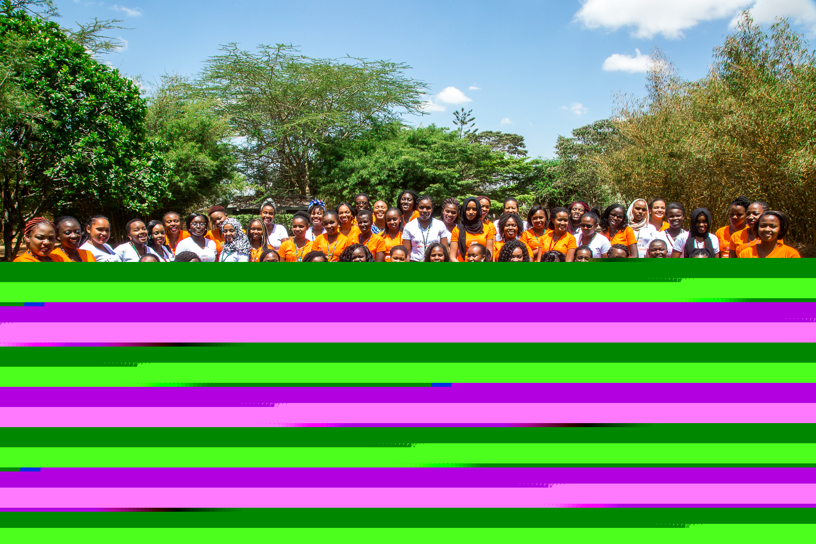 African Feminist Organizations: Featuring Akili Dada - African Feminism ...